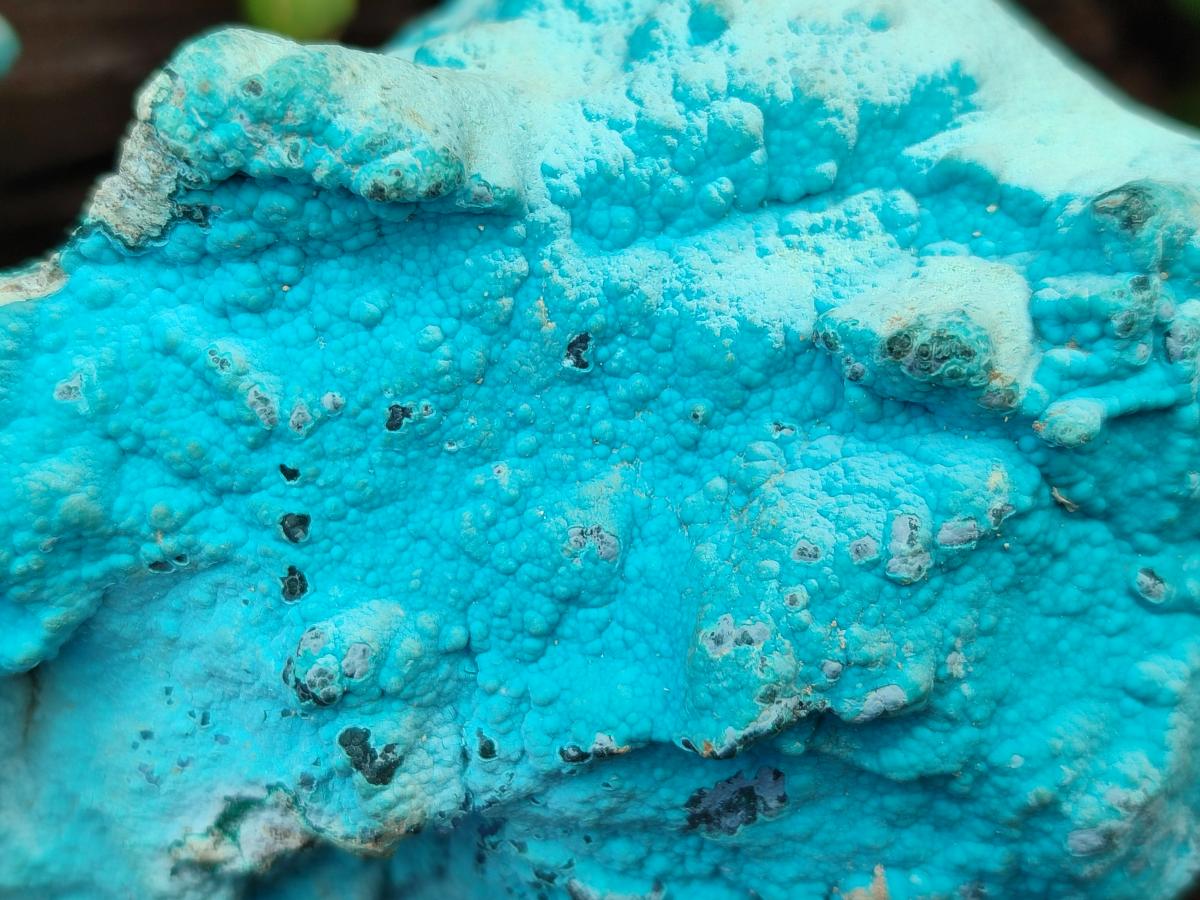 Natural Botryoidal Chrysocolla With Malachite Specimens x 2 From Kolwe ...