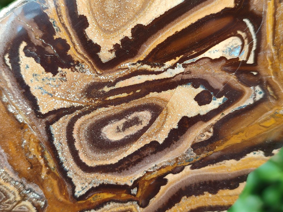 Polished On One Side Nguni Jasper Specimens x 3 From Northern Cape, So ...