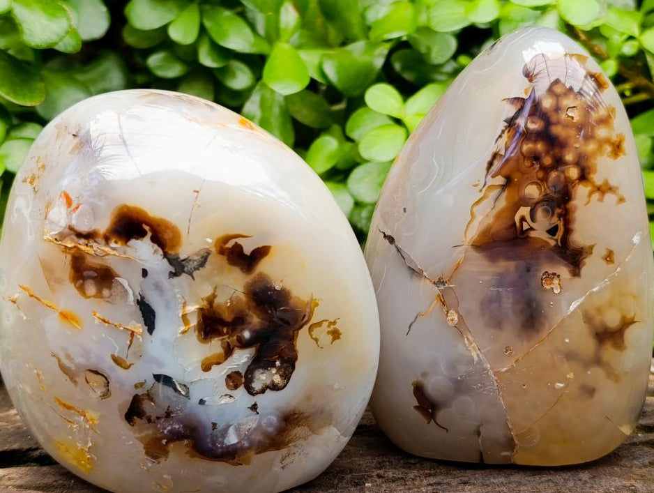 Polished Dendritic Agate Standing Free Forms x 2 From Moralambo, Madag