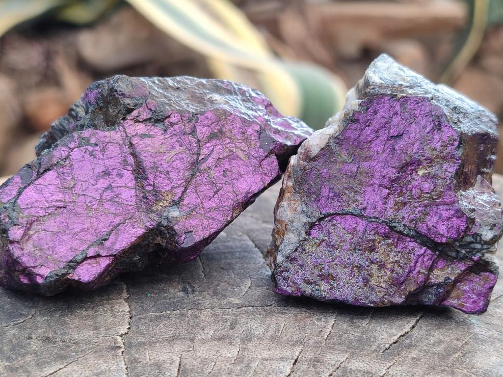 Natural Metallic Cobbed Purpurite Specimens x 12 From Erongo, Namibia ...
