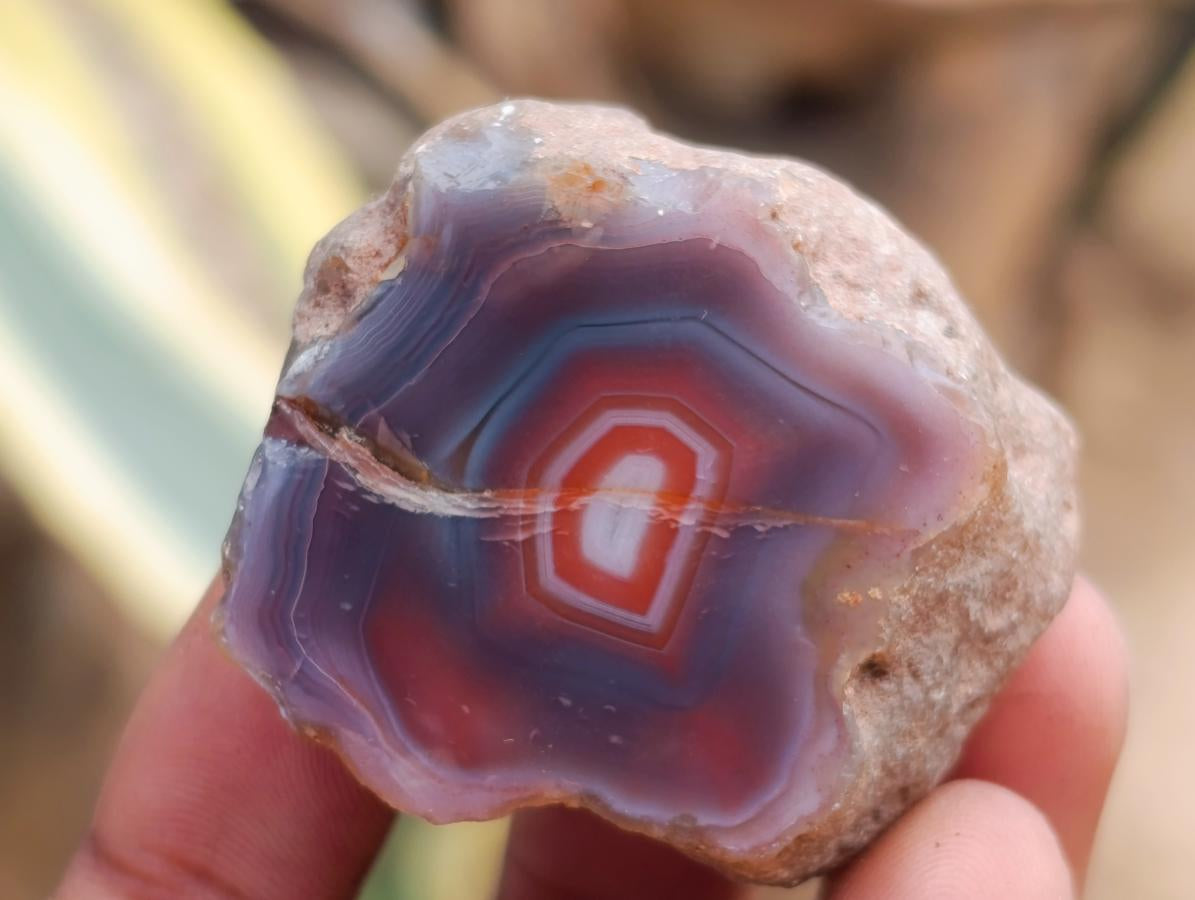 Polished Red Shashe River Agate Nodules x 39 From Shashe River, Zimbab ...