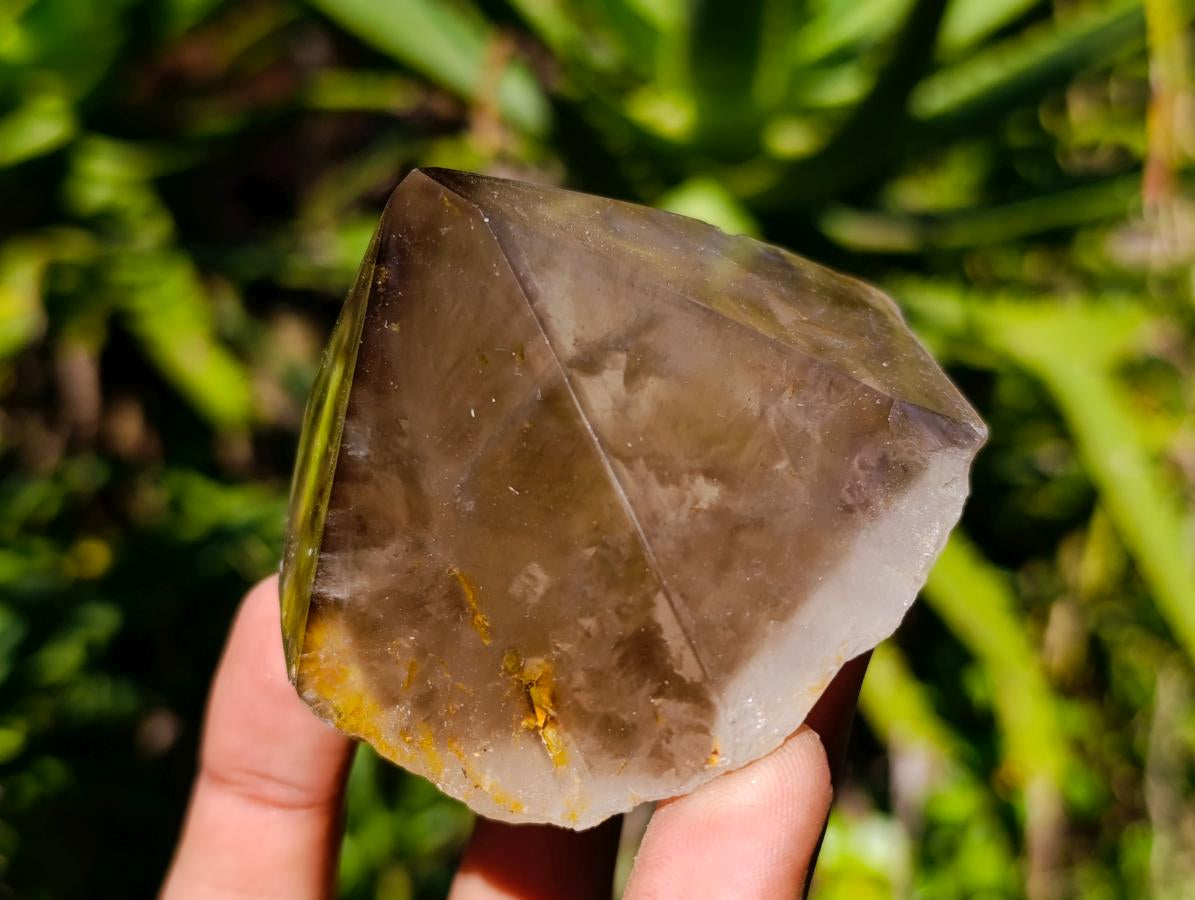 Polished Wispy Smokey Window Quartz Crystals x 6 From Madagascar ...