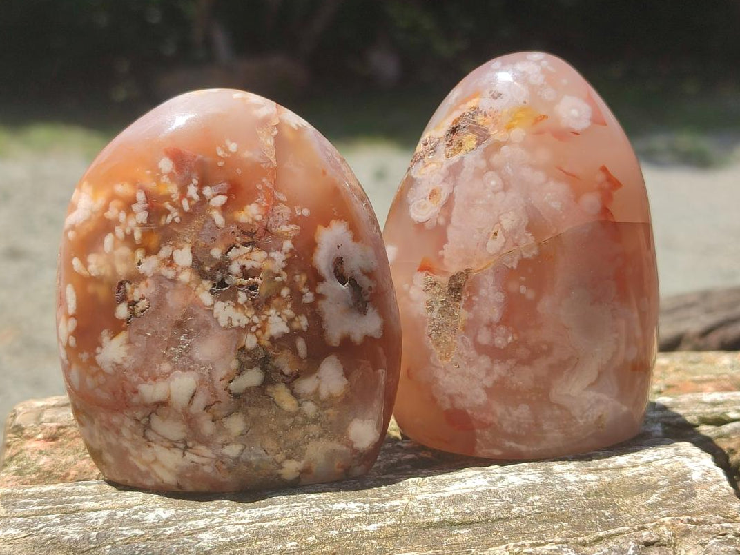Polished Flower Agate Standing Free Forms x 5 From Antsahalova, Madaga