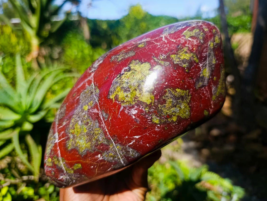 Polished Large Bastite Dragonsblood Stone Standing Display Free form x ...