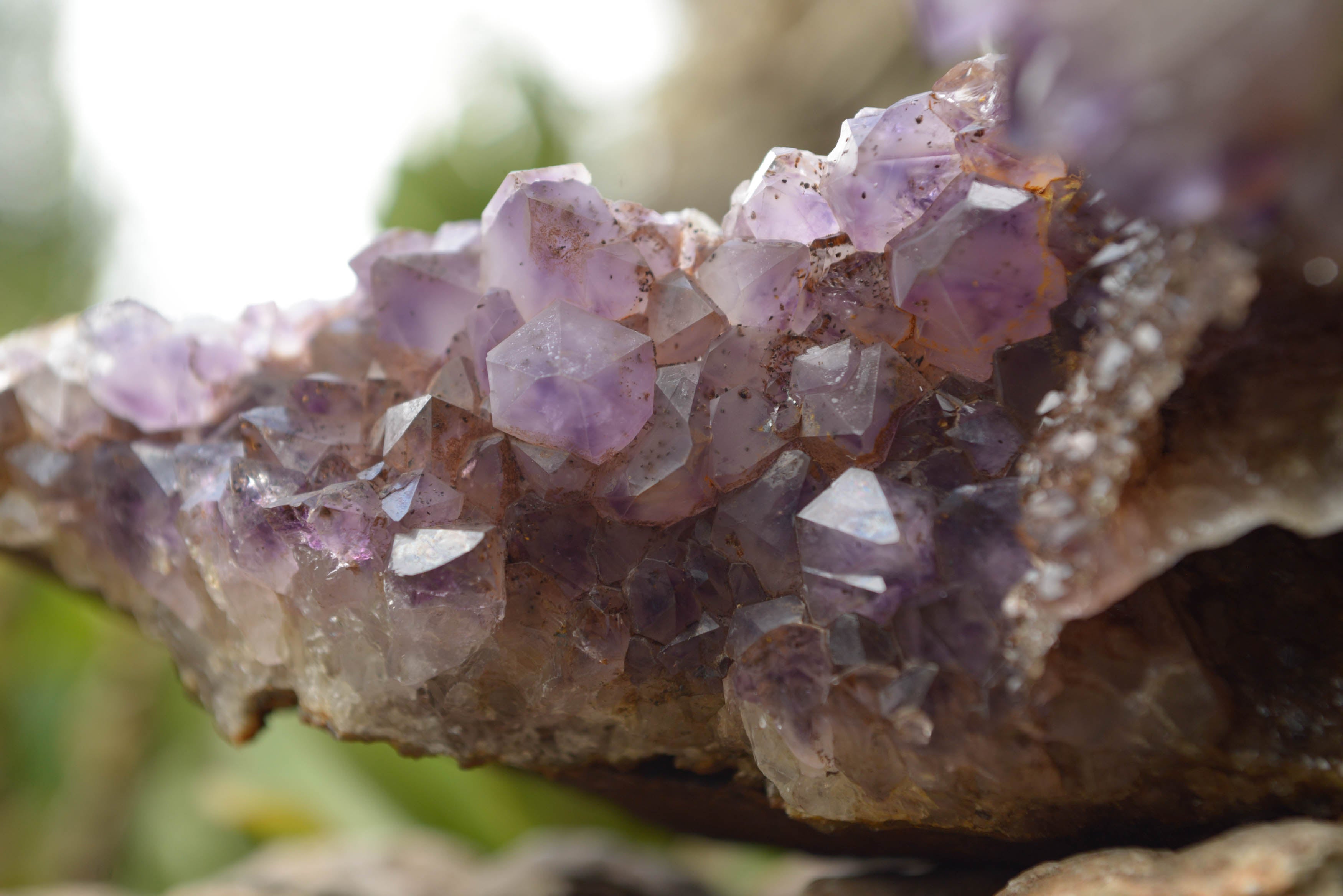 Natural Amethyst In Basalt Geode Specimen x 1 From Zululand, South Afr ...