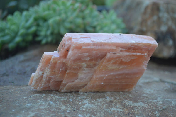 Natural New Sunset Orange Calcite Specimens x 4 From Spitzkop, Namibia ...