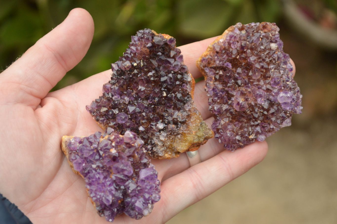 Natural Small Dark "Amethystos" Amethyst Clusters x 35 From Kwaggafont ...