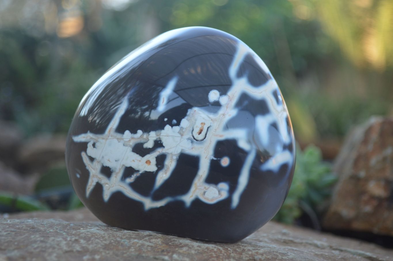 Polished Dendrite and Snow Agate Standing Free Forms x 2 From Madagasc ...