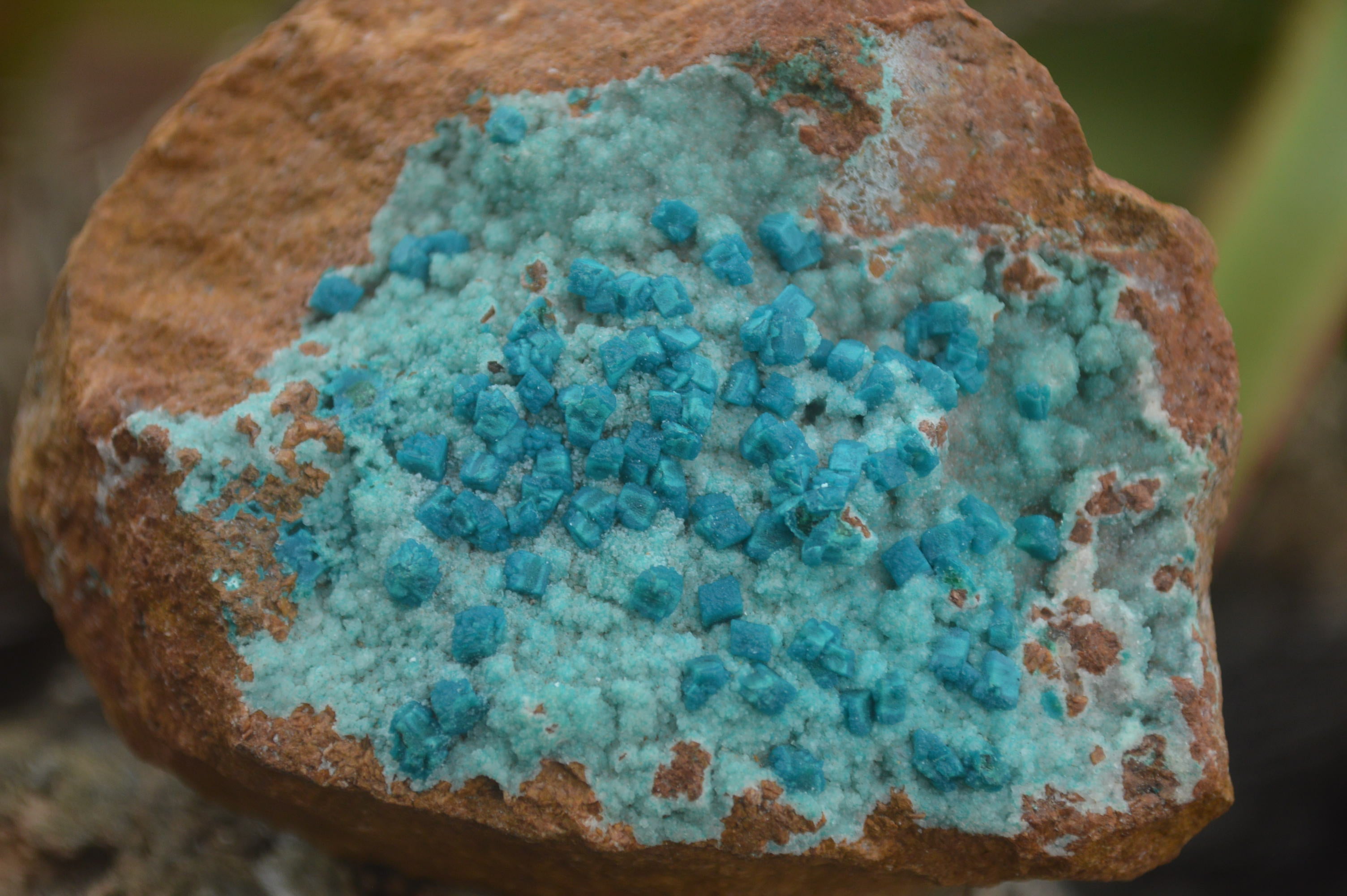 Natural Blue Drusy Chrysocolla Dolomite & Malachite Specimens x 6 From ...