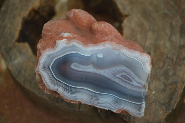 Polished Red Sache River Agate Nodules x 6 From Sache River, Zimbabwe ...
