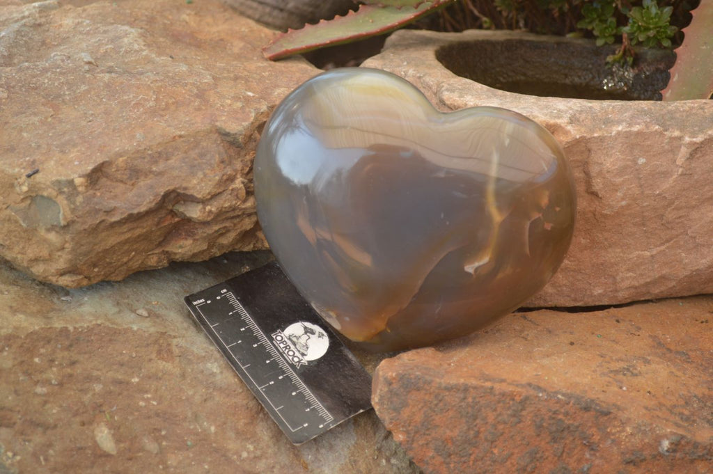 Polished Large Translucent Chalcedony Gemstone Heart x 1 From Madagasc ...