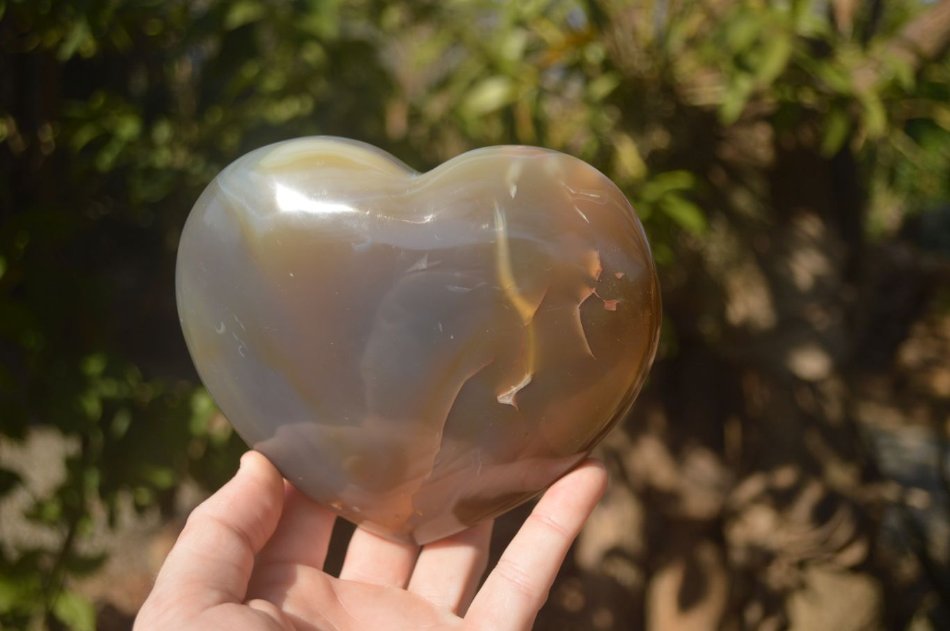 Polished Large Translucent Chalcedony Gemstone Heart x 1 From Madagasc ...