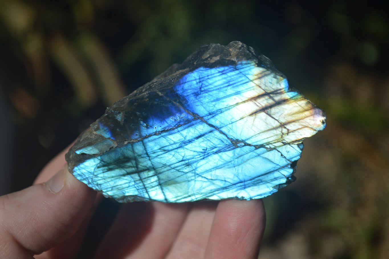 Polished One Side Polished Labradorite Slices x 12 From Tulear, Madaga ...