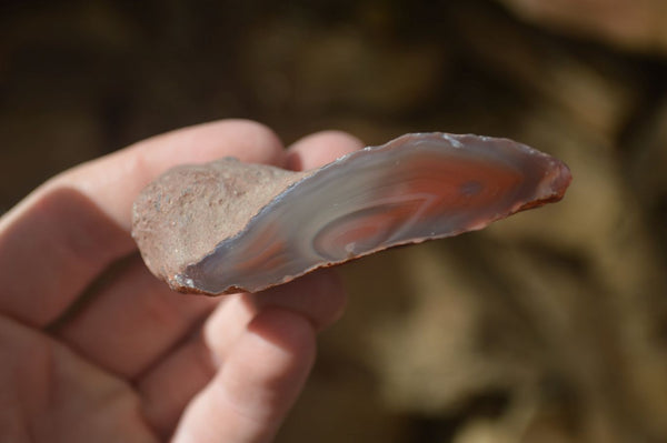 Polished River Agate Nodules x 6 From Sashe River, Zimbabwe | Toprock ...