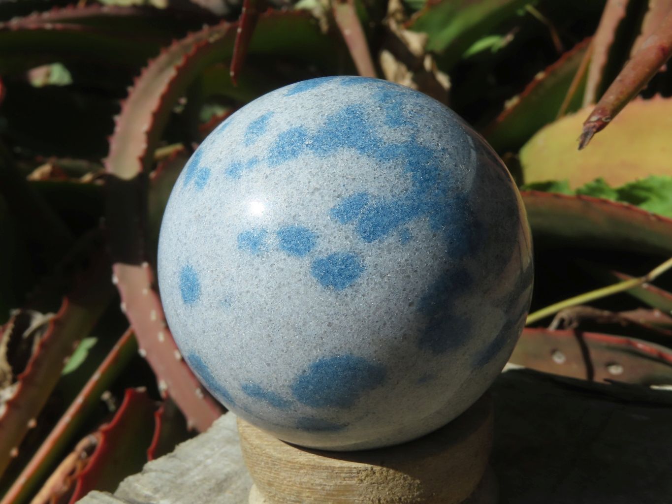 Polished Blue Spotted Spinel Spheres x 6 From Madagascar