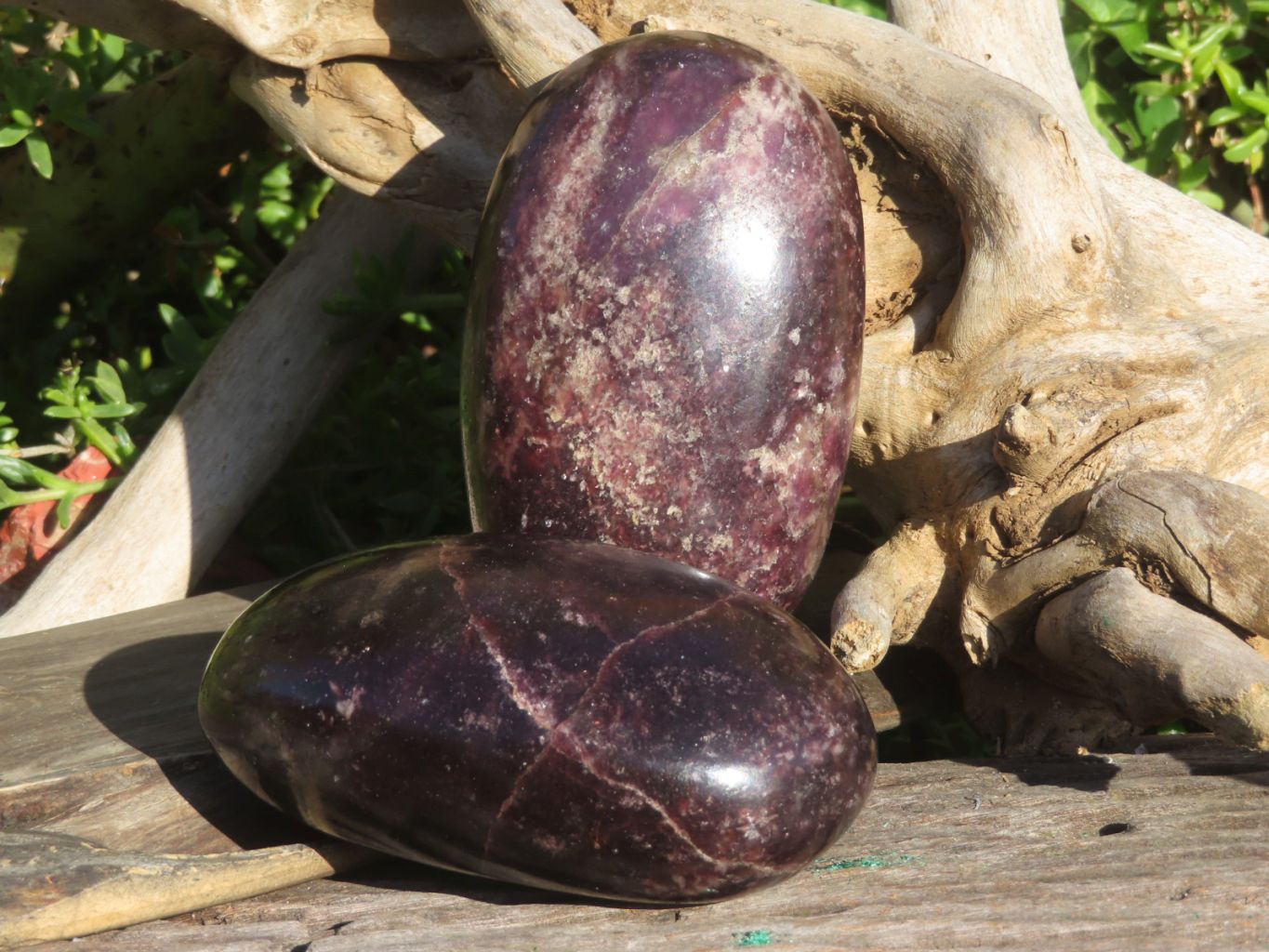 Polished Dark Purple Lithium Mica Lepidolite Free Forms x 2 From Zimba ...