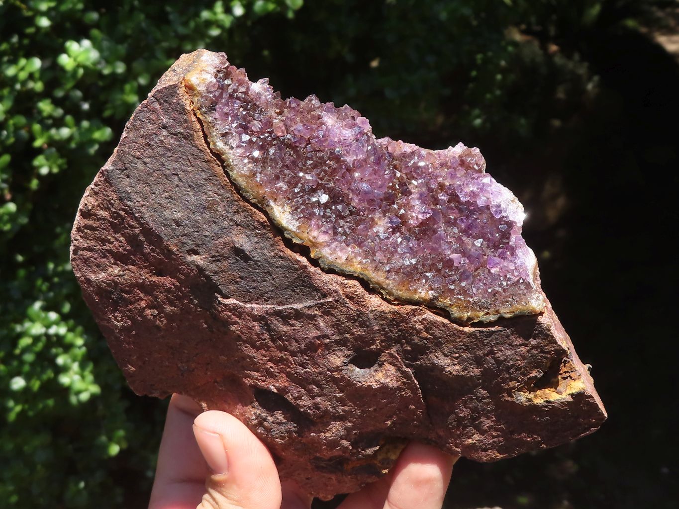 Natural Amethyst In Basalt Geode Specimens x 4 From Zululand, South Af ...