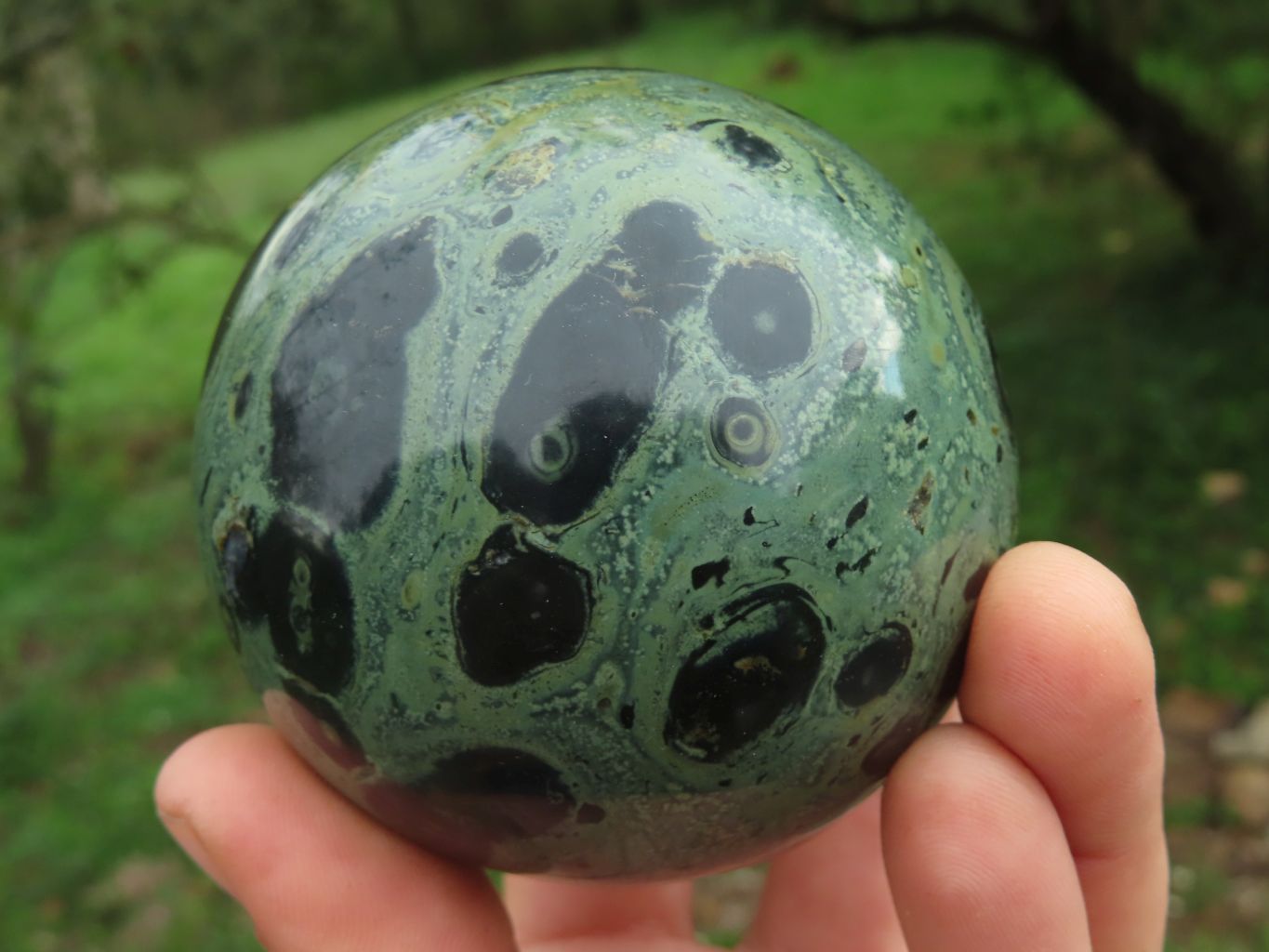 Polished Stromatolite / Kambamba / Nebula Jasper Spheres x 3 From Mada ...