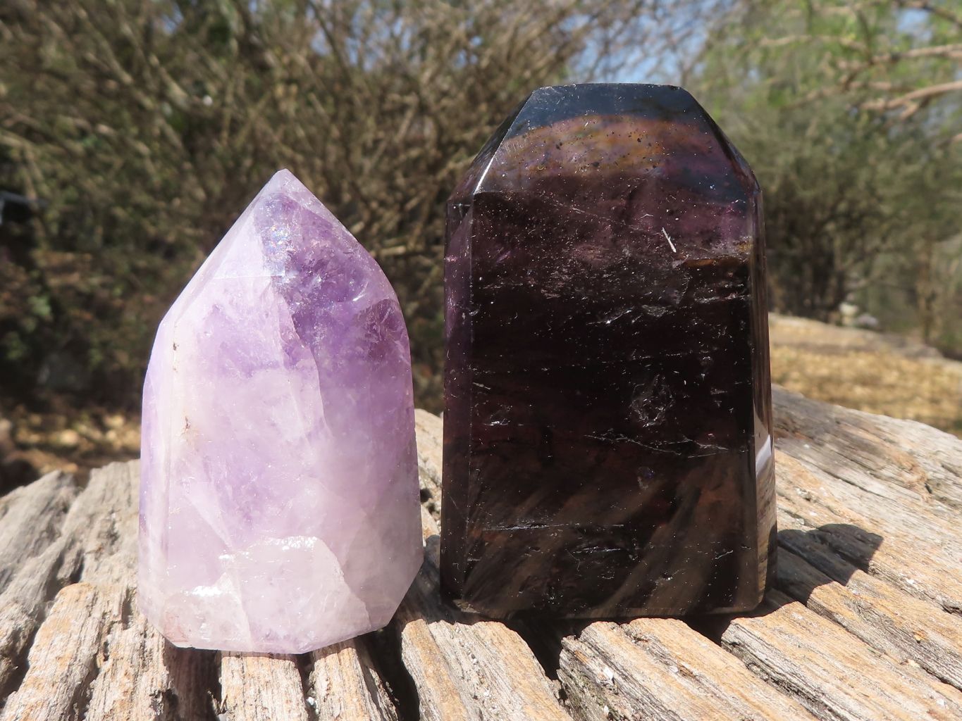 Polished Selection Of Window Amethyst / Smokey Amethyst Crystals x 6 F ...