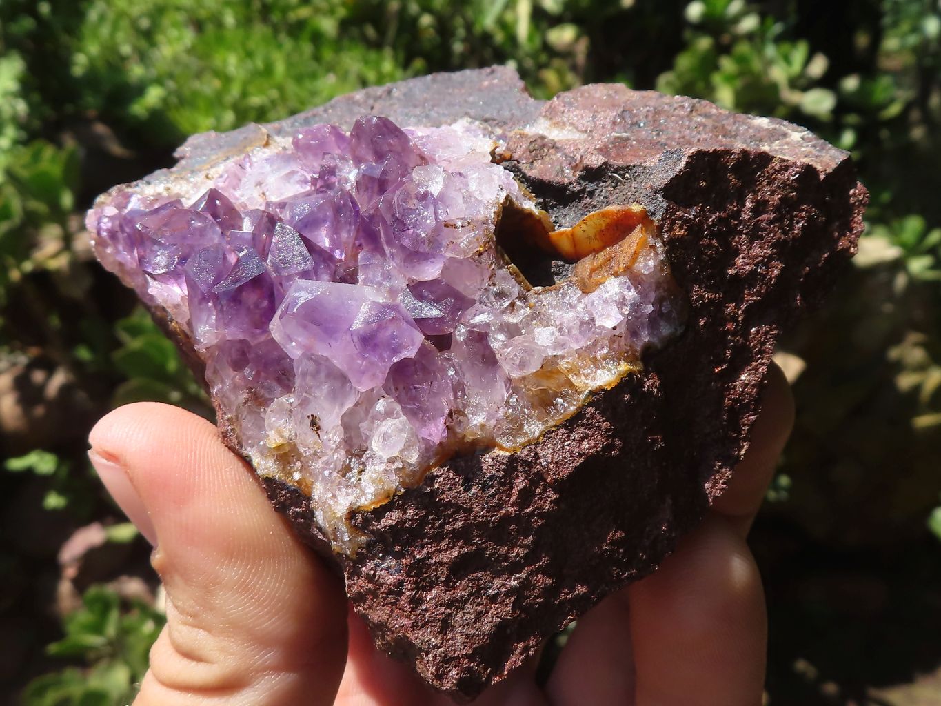 Natural Amethyst In Basalt Geode Specimens x 12 From Zululand, South A ...
