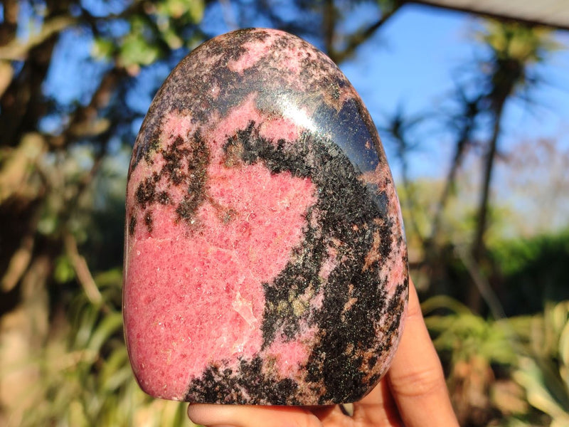 Polished Pink Black Rhodonite Standing Free Forms x 3 From Madagascar Toprock Gemstones and Minerals