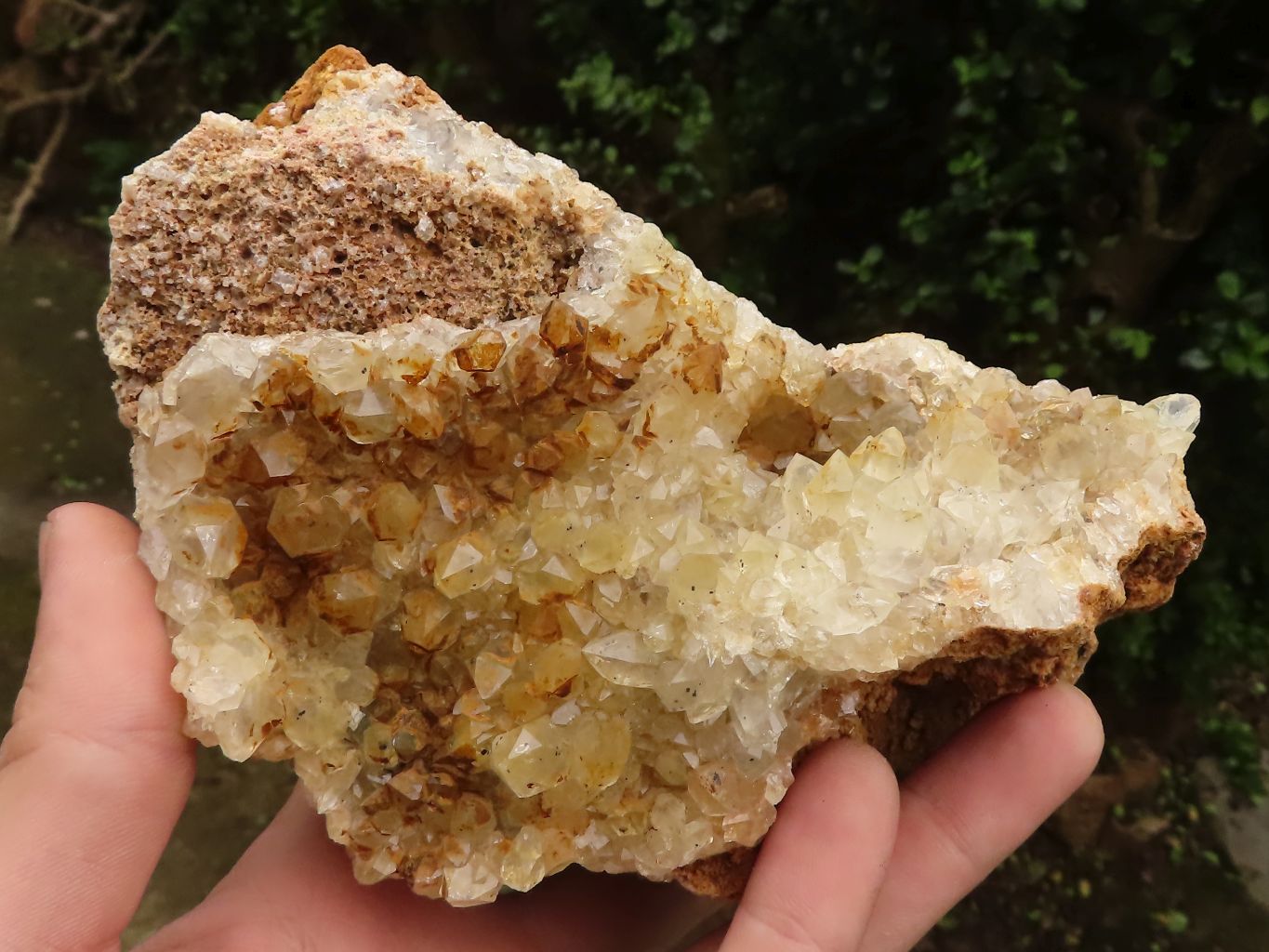 Natural Golden Limonite Quartz Clusters x 2 From Zambia – Toprock ...