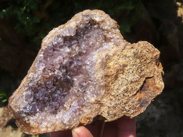 Natural Crystal Centred Agate Geodes x 4 From Zululand, South Africa ...