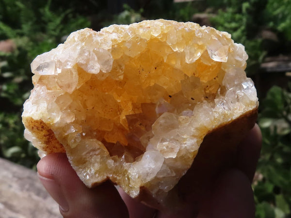 Natural Limonite Quartz Vug Specimens x 6 From Zambia | Toprock ...