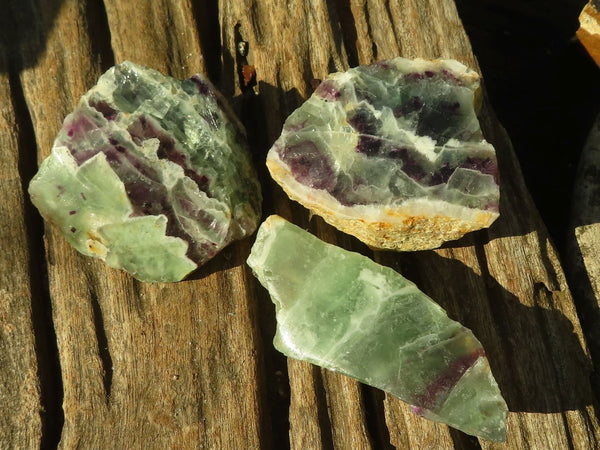 Polished One Side Polished Watermelon Fluorite Pieces x 12 From Uis ...