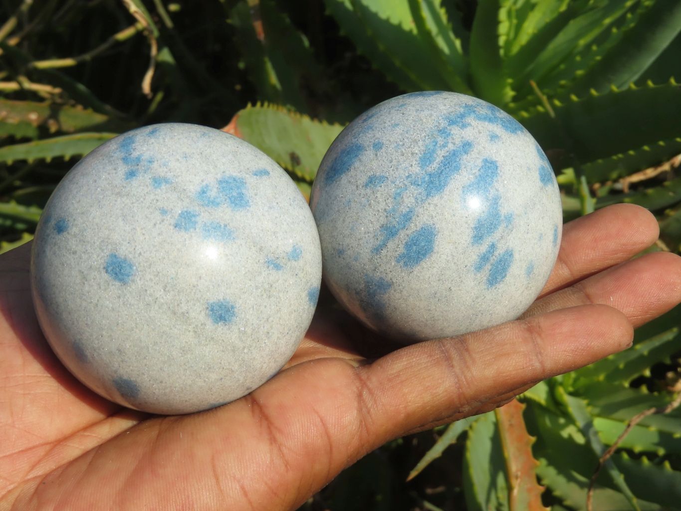Polished Blue Spotted Spinel Spheres x 6 From Madagascar