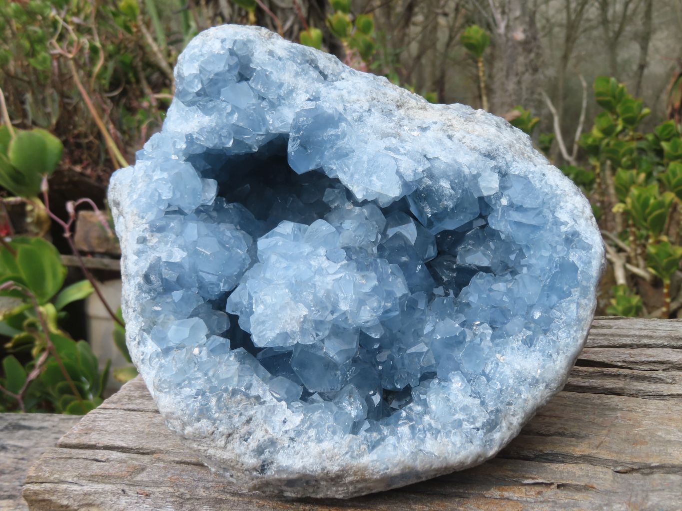 Natural Blue Celestite Geode Specimen x 1 From Sakoany, Madagascar ...