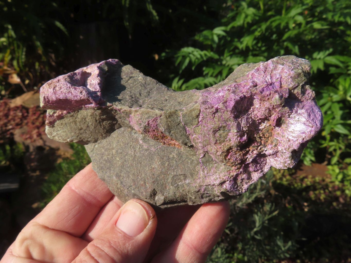 Natural Stichtite Cobbed Specimens x 6 From Barberton, South Africa ...