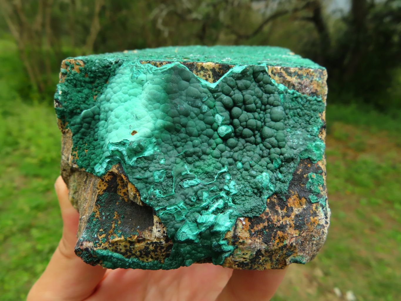 Natural Drusy Crystalline Malachite on Matrix Specimens x 2 From Tenke ...